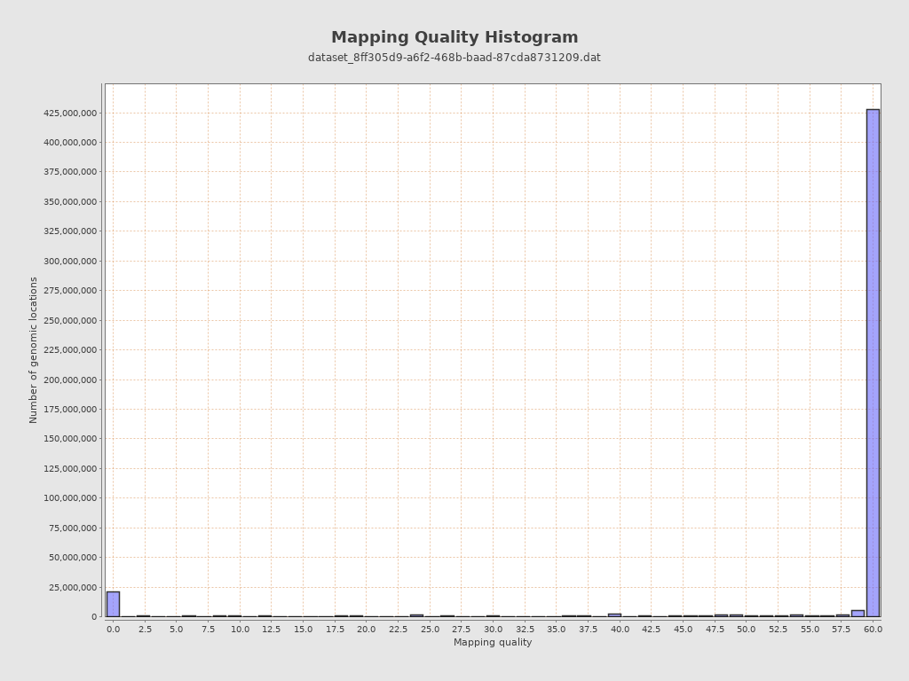 Qualimap report: BAM QC