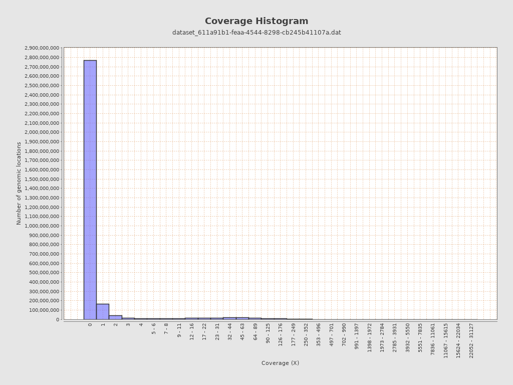 Qualimap report: BAM QC