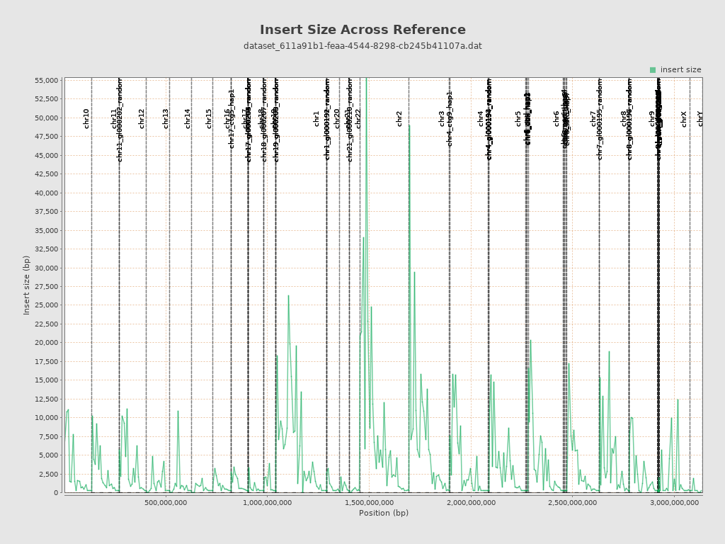Qualimap report: BAM QC