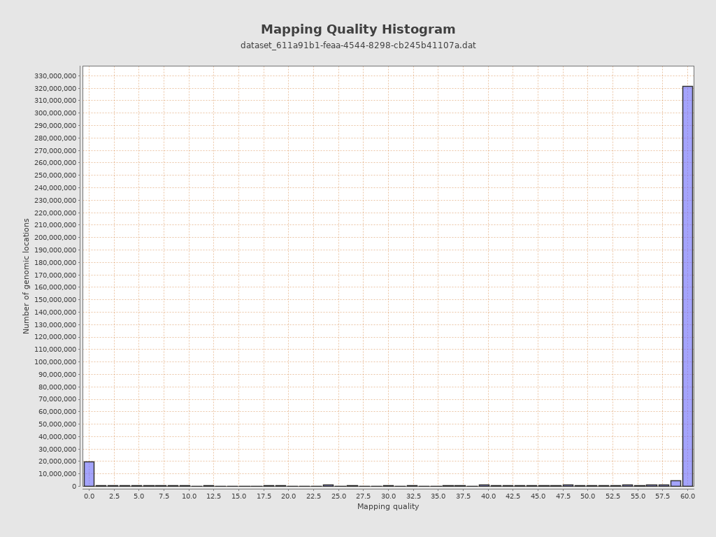 Qualimap report: BAM QC